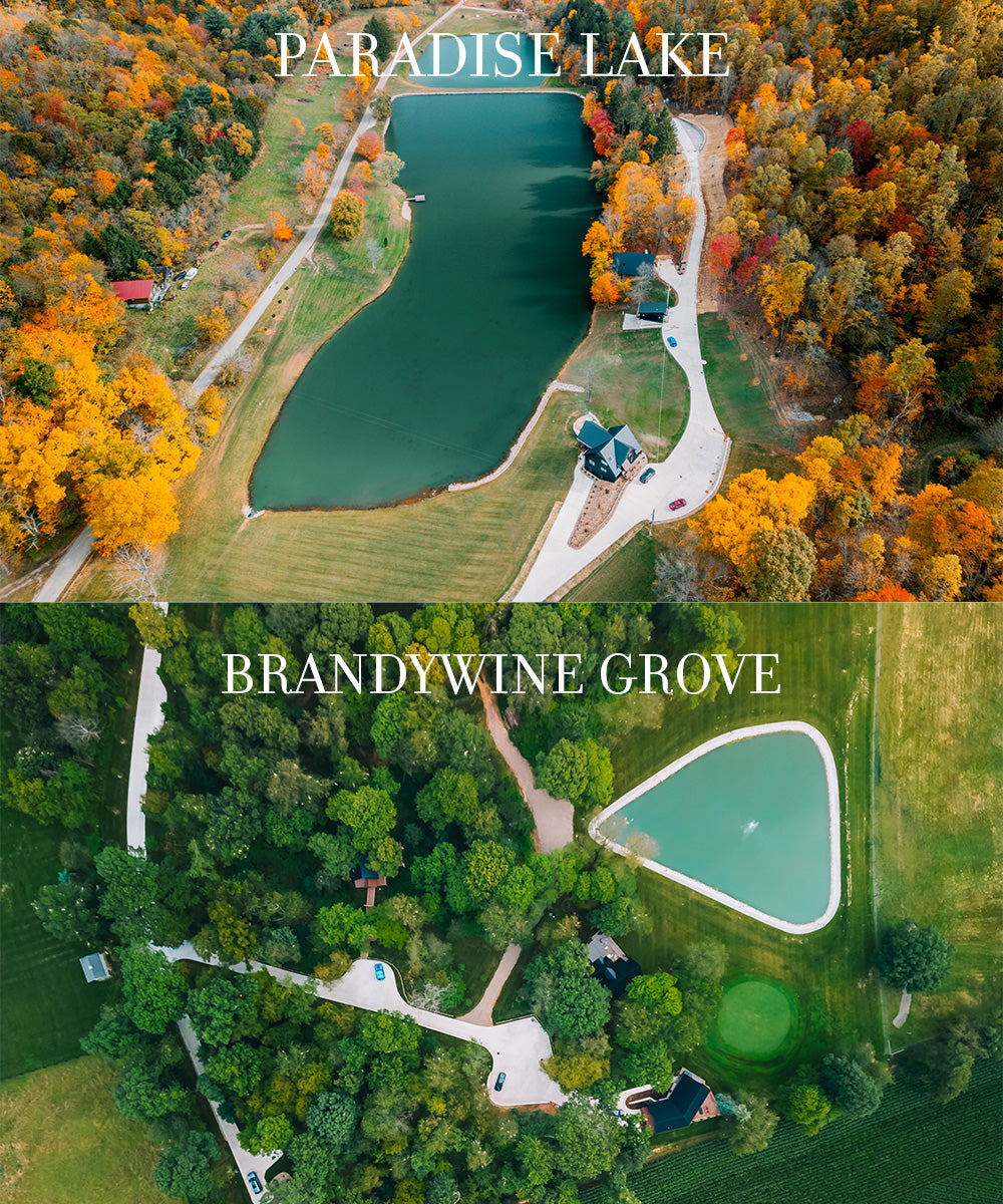 New Reservations – My Store